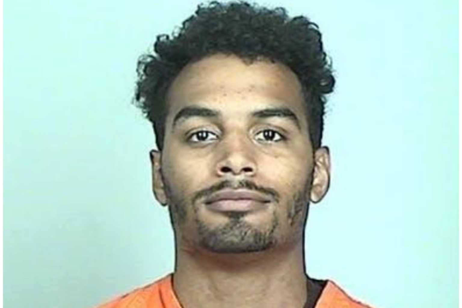 Bryce Michael Williams sentenced for arson | The Published Pen