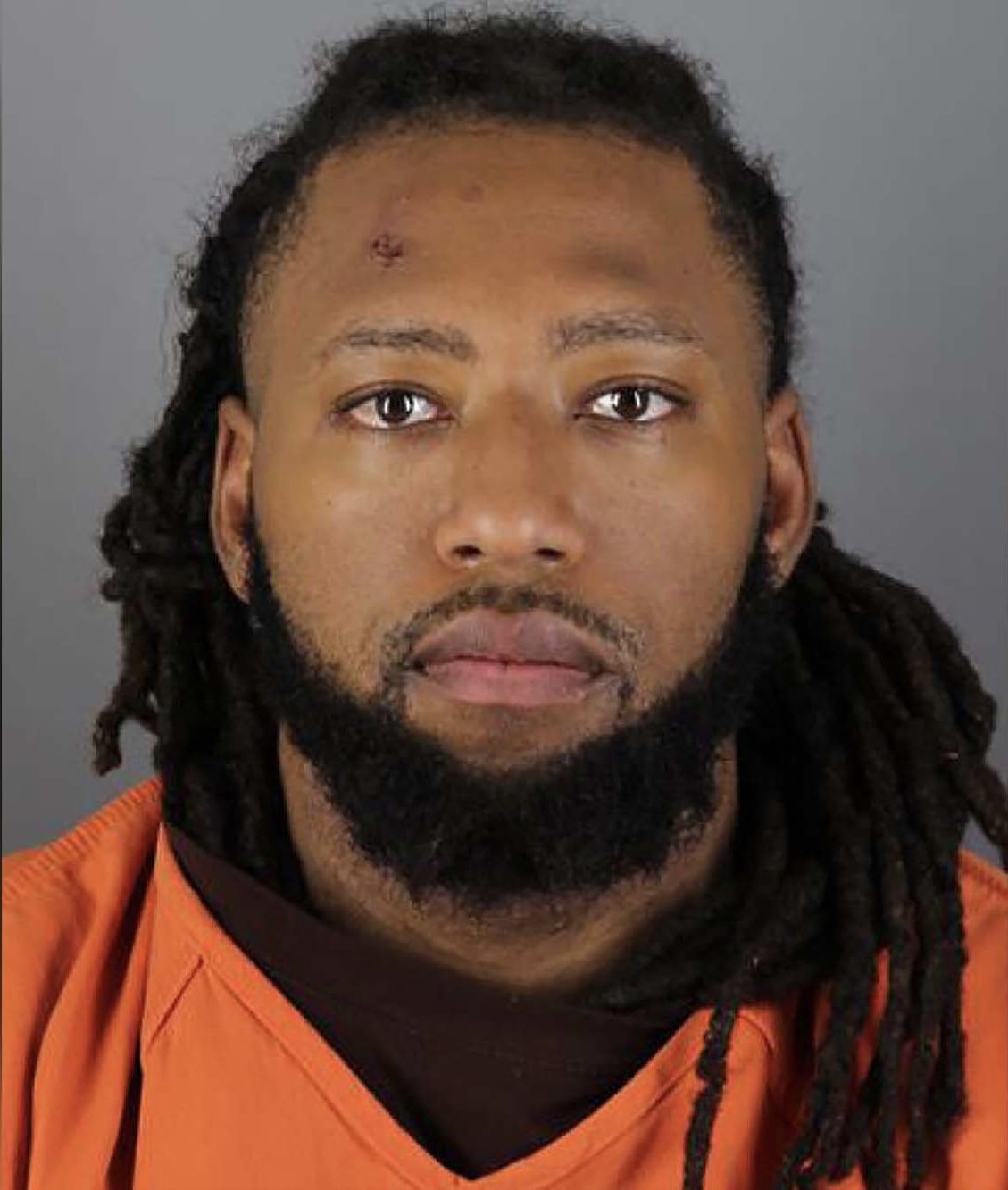 A Look at Derrick Thompson background | The Published Pen